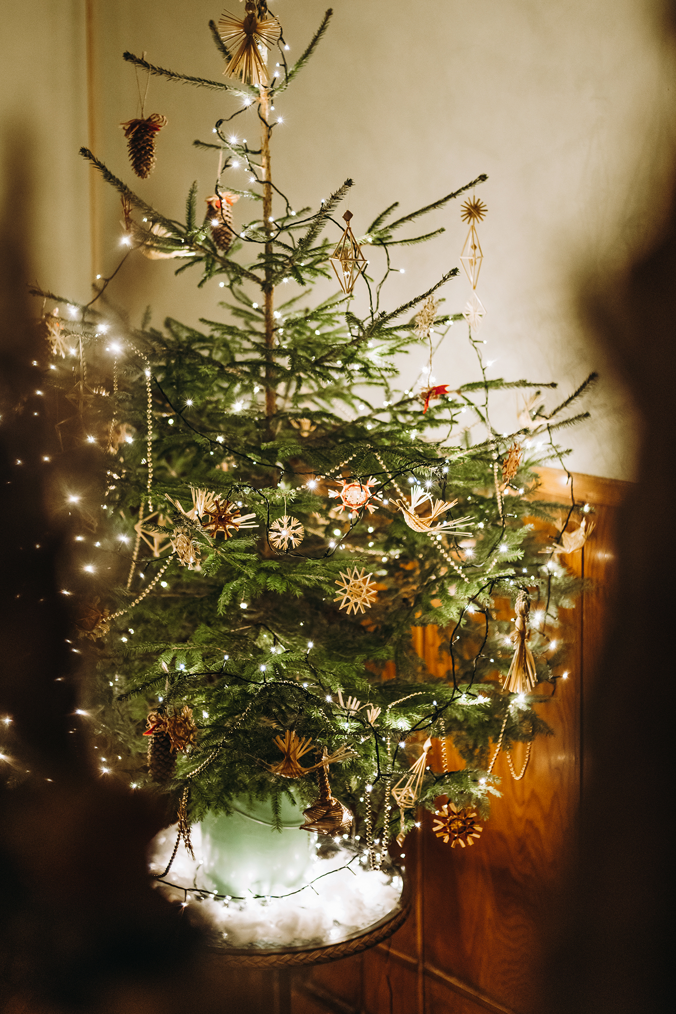 Kalėdinės eglutės istorija